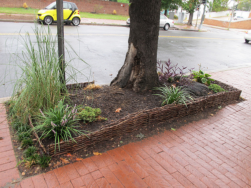 Great Tree Box - PoPville