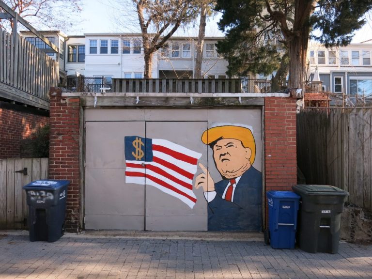 Trump Murals in Mount Pleasant and Shaw - PoPville