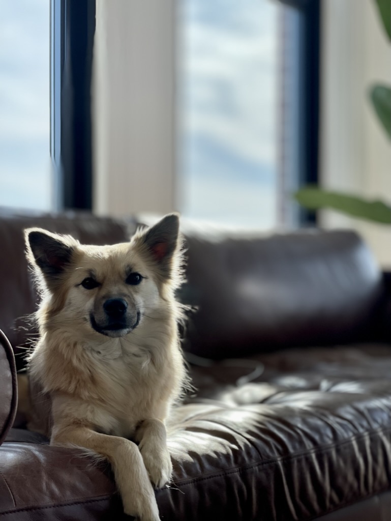 The Blind Dog Cafe at Darnell's (Coffee House) Pops Up at 944 Florida ...