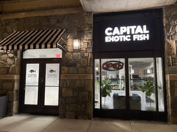 Capital Exotic Fish Grand Opening Saturday – “EVERYTHING will be 20% ...