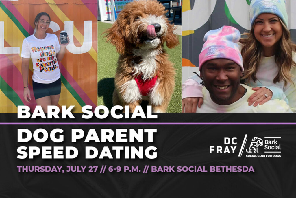 Looking to be a DINKWAD (Dual-Income, No Kids, With a Dog)? - PoPville