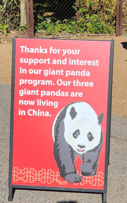 So much for “mid November” – Farewell Giant Pandas You Brought Us So ...